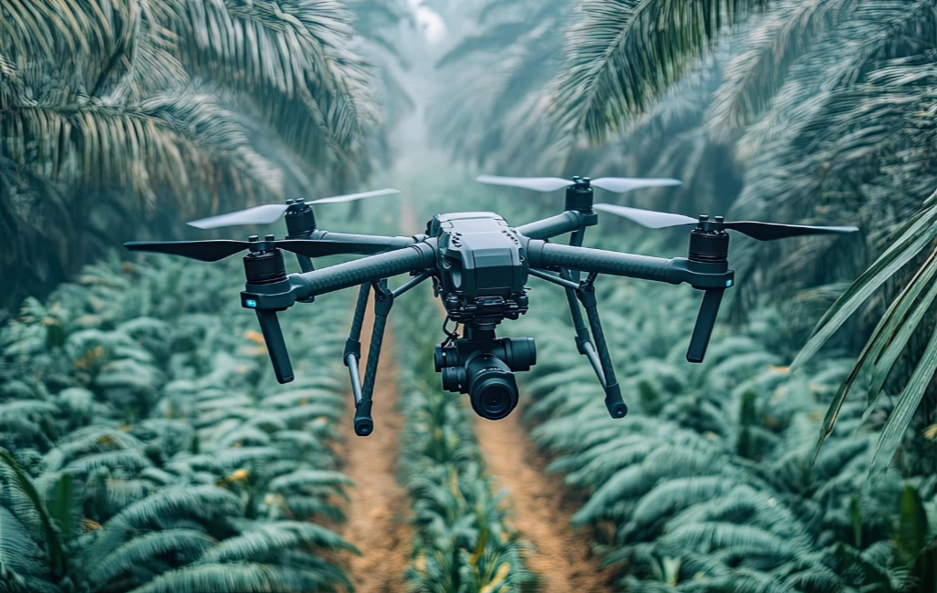 AI Drones Transform Palm Farming - Aya Data